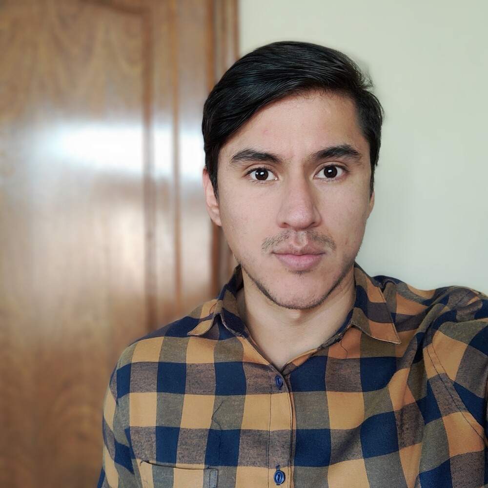 Curriculum Vitae - GamicNa